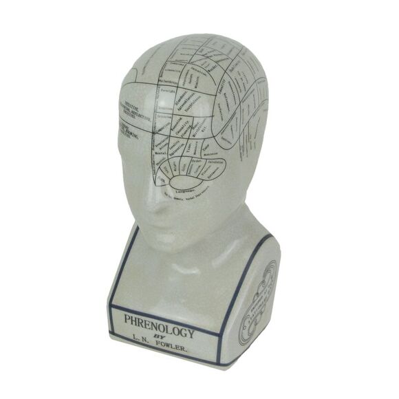 AA Importing | Art | Aa Importing 59898 Small Phrenology Head | Poshmark